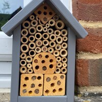 Bug House Gift Set - Etsy UK
