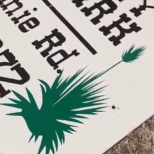 Yucca Svg, Yucca Garden Svg, Yucca Flower Svg, Yucca Plant, Palm, SVG ...