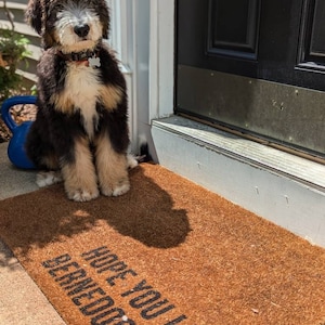 Hello Goodbye Doormat, Hello Doormat, Hello Goodbye Door Mat, Hello ...