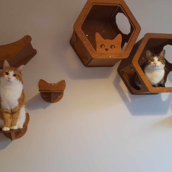 Cat Hexagon Shelves, Wood Wall Furniture for Cats, Wall Mount Shelf ...