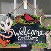 Opossum Mailbox - Etsy