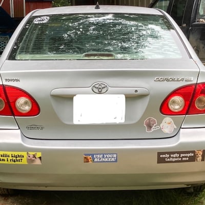 This is Who You're Honking at Cat Meme Car Bumper Sticker Funny Cute ...