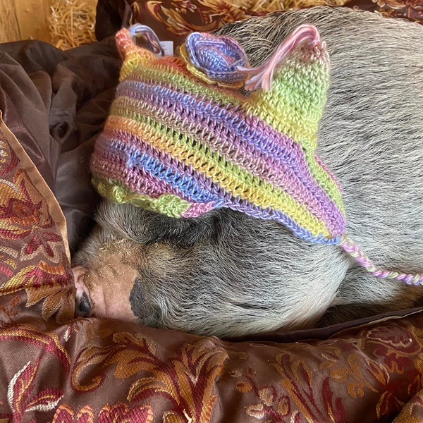 Pig Hat - as in Hat for Your Pig Piggie Piglet Mini Pig Custom Sized ...