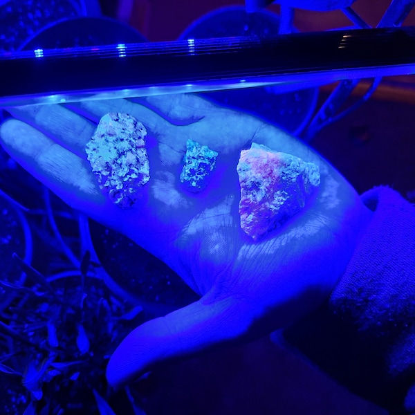 Rare Combo! UV Fluorescent Green Willemite Barite & Minor Hardystonite ...