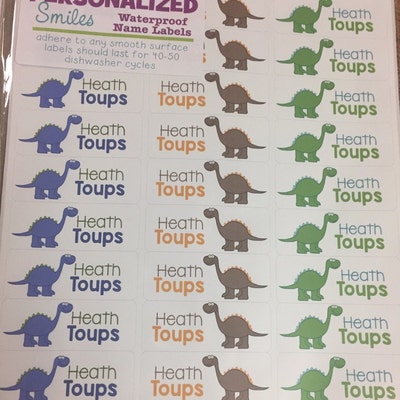 Dinosaur Name Stickers, 30 Personalized Dino Stickers, Dishwasher Safe ...