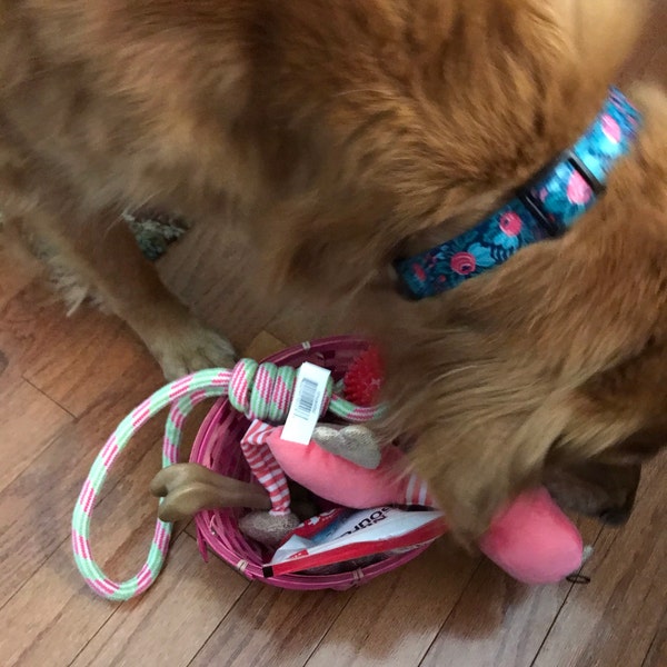 Custom Dog/cat Gift Baskets for Any and All Occasions! - Etsy