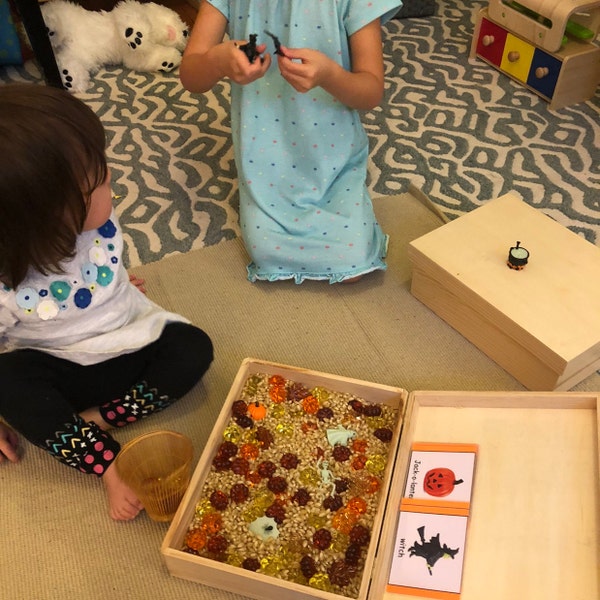 Montessori Colors Sorting Activity--primary and Secondary Colors--color ...