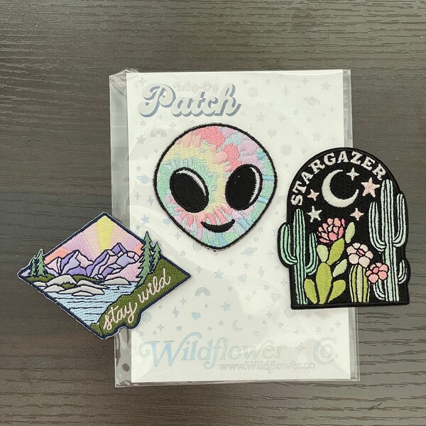 Stargazer Desert & Cactus Patch - Iron on Patch - Saguaro Cactus, Desert Night, Desert Moon ...