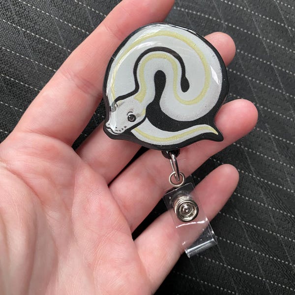 Red Panda Magnet: Gift for Red Panda Lovers Chinese Animal Cute Animal ...