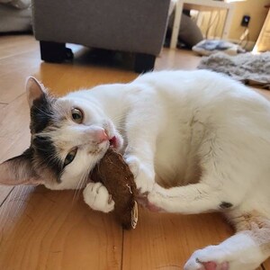 Bomb Pop Cat Toy Organic Catnip Wool-blend Felt - Etsy