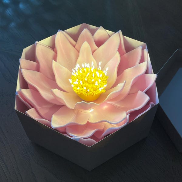 Lotus Small Table Lamp Fairy Flower Night Lamp Yoga Meditation ...