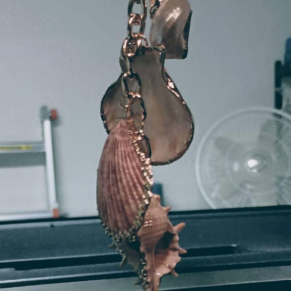 Sea Shell Keychain, Gold Shell Keychain, Natural Seashell, Ocean Gift ...