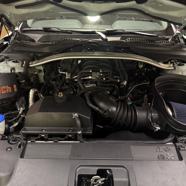 2020-2022 Ford Mustang GT500 Strut Tower Covers Custom Fitted (predator ...