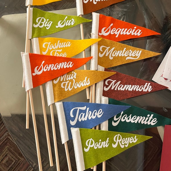 CUSTOM Mini Pennant | Small Felt Pennant on a Stick | Personalized ...