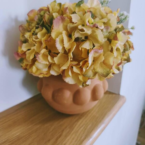Artificial Veronica, Yellow Veronica, Artificial Speedwell, Yellow ...
