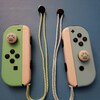 Animal Crossing Joy Con Shell for Nintendo Switch With SL/SR and Wrist ...