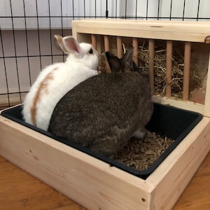 Rabbit Hay Feeder With Removable Litter Tray - Etsy UK