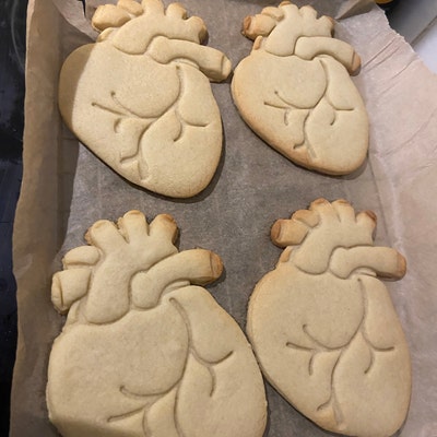 Human Heart Cookie Cutter With Detail - Etsy