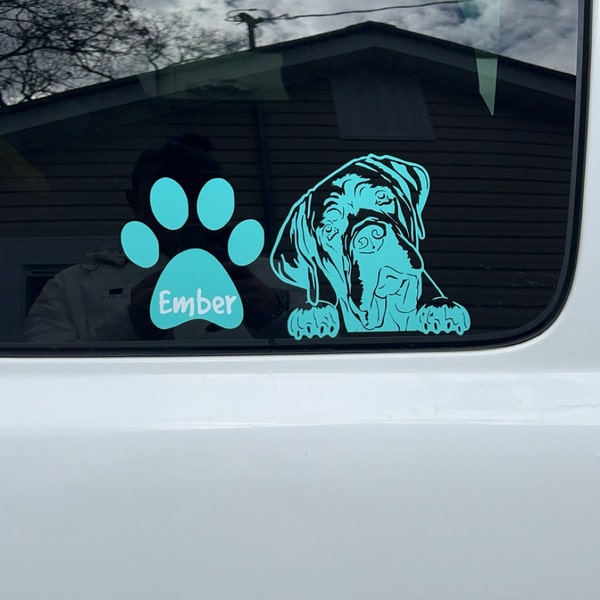 Cane Corso Decal | Peeking Cane Corso Decal | Cane Corso Sticker ...