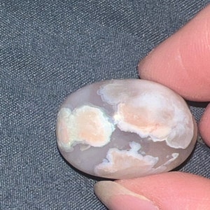 Zebra Onyx Small T-rex Stone Carving Polished Tyrannosaurus - Etsy