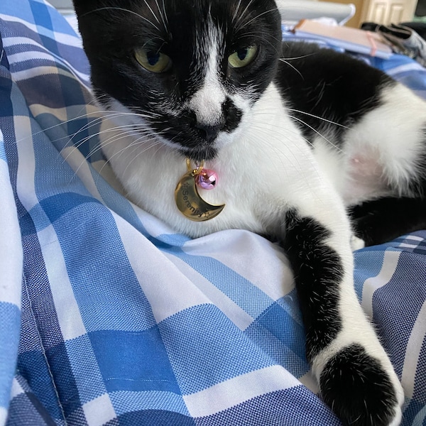 Ziggs Armor Template - Etsy