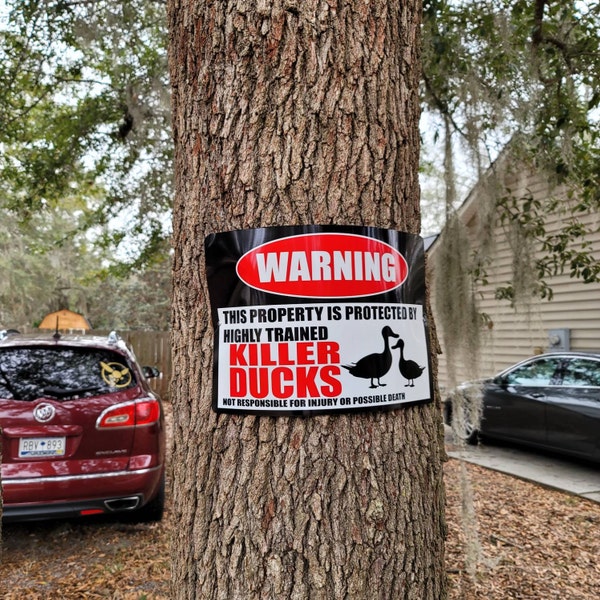 Funny Duck Sign Ducks Sign Duck Warning Sign Duck Coop Sign Duck Decor ...