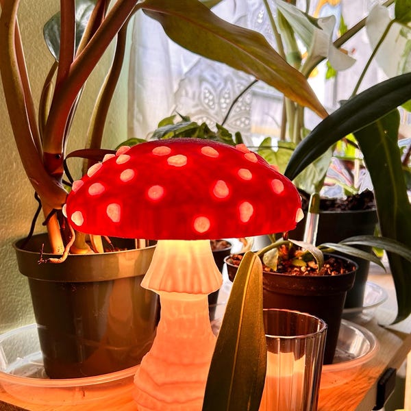 Cottagecore Mushroom Lamp - Etsy