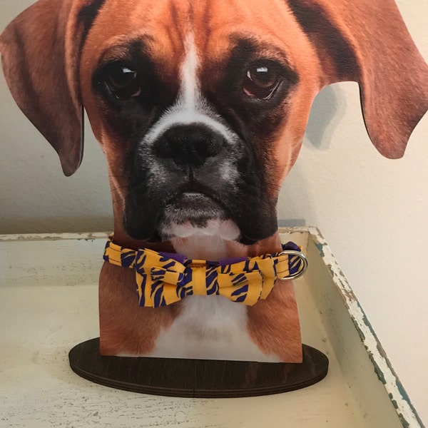 Boxer, Boxer Display, Boxer Head Display, Dog Collar Display,dog ...