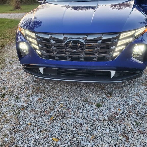 Universal Car Vampire Teeth / Bumper Fangs / Halloween Car Decoration ...