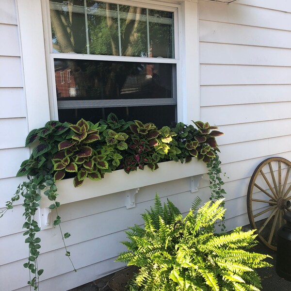 Sale Farmhouse 24" Tapered Front Window Box Paintable Made to Order ...