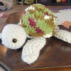 Fred the Sea Turtle | Crochet Pattern | PDF Download | Includes Follow ...