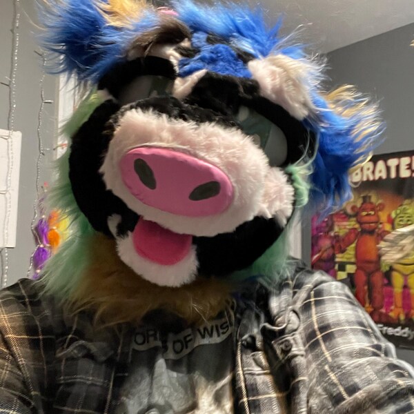 Fursuit froyo Head Tail - Etsy