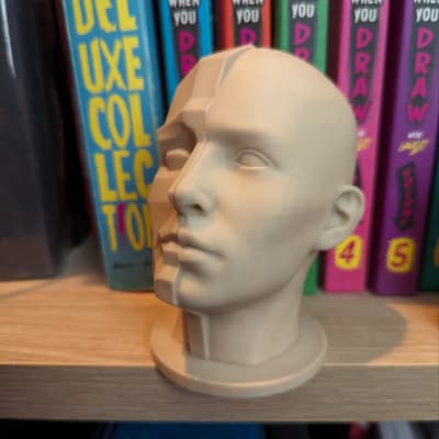 Female Realistic Head Bust Portrait Reference Tool Multiple Sizes - Etsy