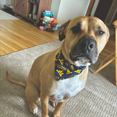 LSU Tigers Over the Collar Dog Bandana // LSU Reversible Bandanna ...