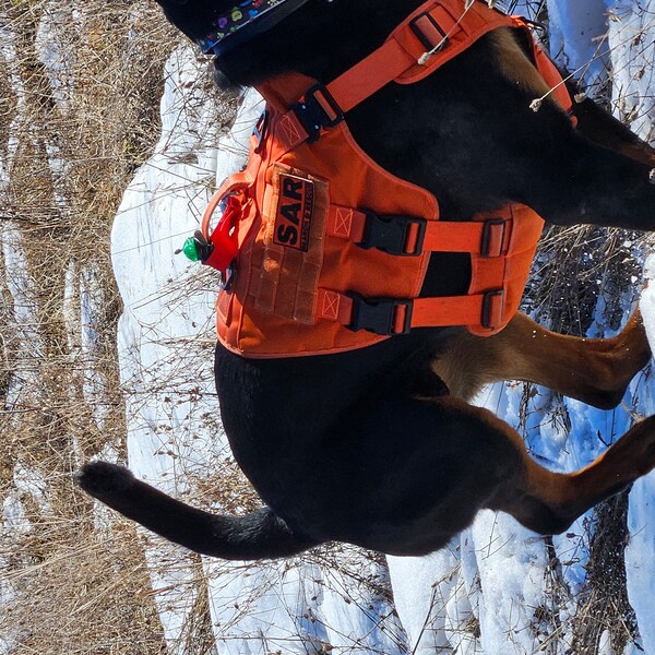 Search&rescue SAR Patch (3 Inch) Embroidered (hook + Loop) Velkro ...