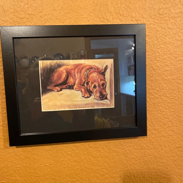 German Shorthaired Pointer Sketch Custom Matted 1963 Vintage Art ...