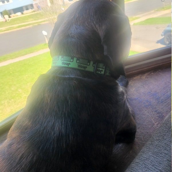 Green Seattle Seahawks Dog Collar, Leash or Set - Etsy