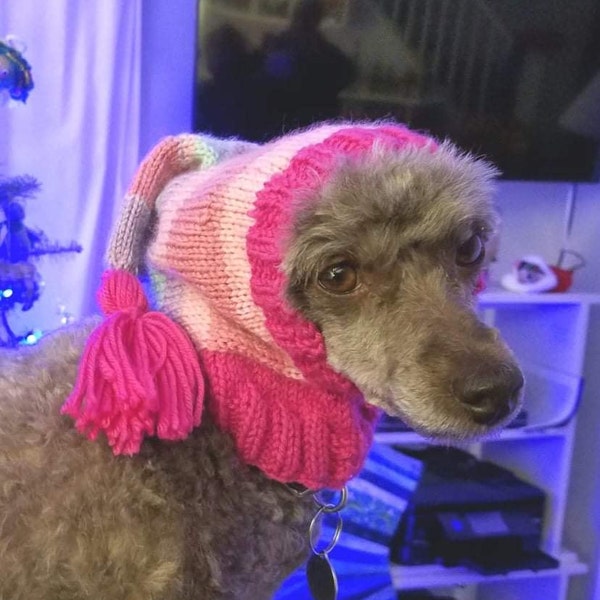 KNITTING PATTERN, Dog Hat, Dachshund Hat, Pet Clothes, Pet Hat, Wiener ...