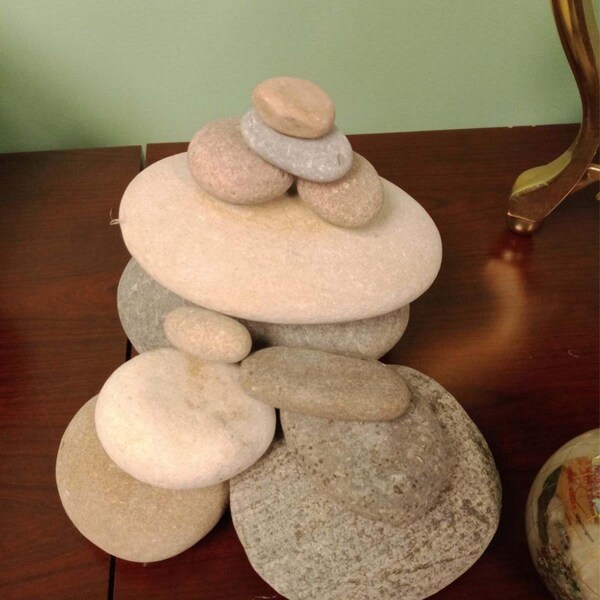 Rare Driftwood Roots W/ Embedded Stone 20in Long, Terrarium or Aquarium ...