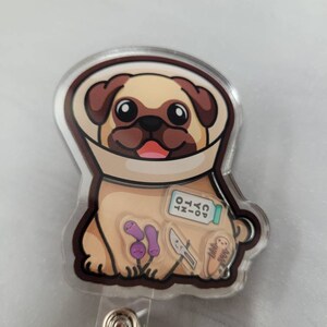 Vet Flash Cards Surgery Veterinary Flashcards Surgical Instruments Vet ...