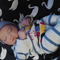 Reborn Baby Boy Sam by Vahni Gowing CUSTOM ORDER - Etsy UK