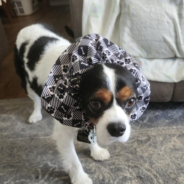 Dog Snood: Long Ear Protector for Cavalier Spaniels and Basset Hounds ...