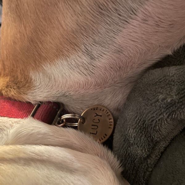 Custom Dog Tag / Custom Pet ID Tag - Lucy - in 1.25'' Domed Bronze ...