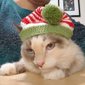 Summer Hat for Cat Red Brim Kitty Hat Flower Hats for Cats | Etsy