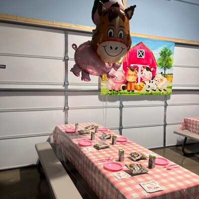 67 Power Ranger Balloon Power Ranger Party Go Go Power Rangers Birthday ...