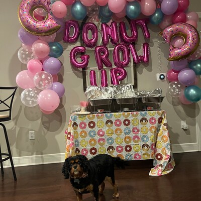 Balloon Garland Kit Donut Grow up Party Donut Balloons Donut Donut Birthday Party Balloons - Etsy