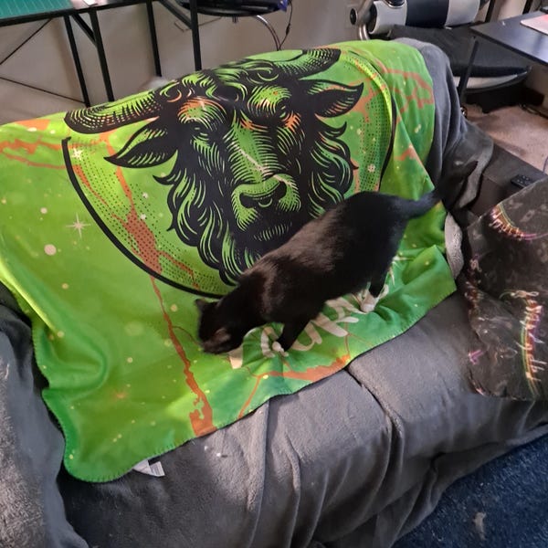 Moth Playing Cards. Collector Design Playing Card Set. 52 Card Deck ...