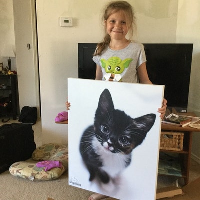 Photograph of Nano, the Tiniest Kitten for Download - Etsy