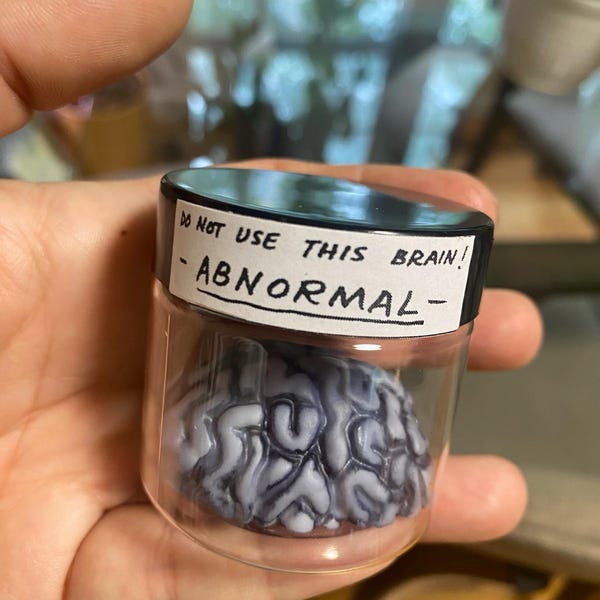 Three Seashells Demolition Man Replica Prop Display - Etsy