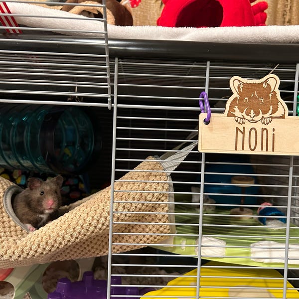 Guinea Pig Cage Tag, Personalized, Custom, Engraved Wood, Pet Guinea ...